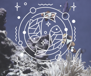 What's your sign? Books To Read Based on Your Horoscope!